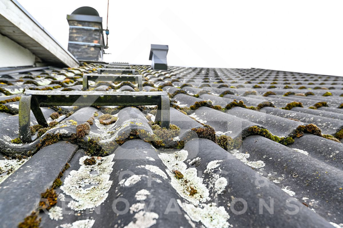 Lichens on Your Roof? Here's What to Do