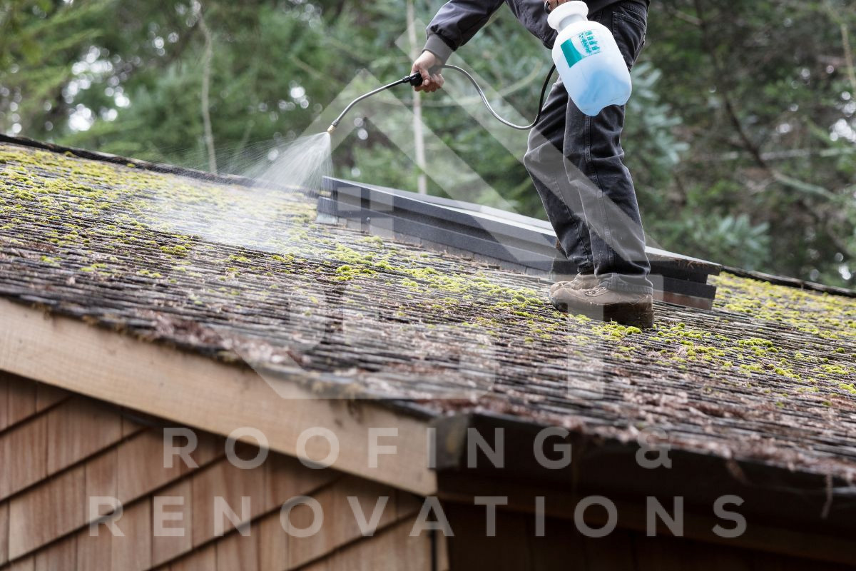 Simple Ways To Remove Moss From The Roof